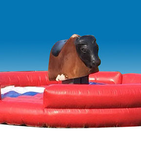 Affordable Bouncy Castles : Bouncy Castles and Inflatable Hire : Kent